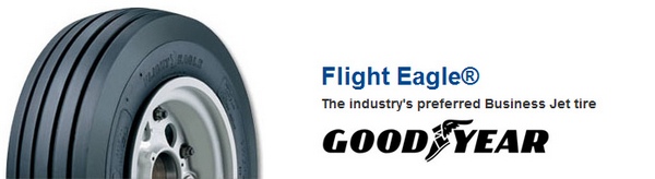 Goodyear Flight Eagle Tire H38X12.0-19 20Ply 382K02-1 | Aircraft Spruce ...
