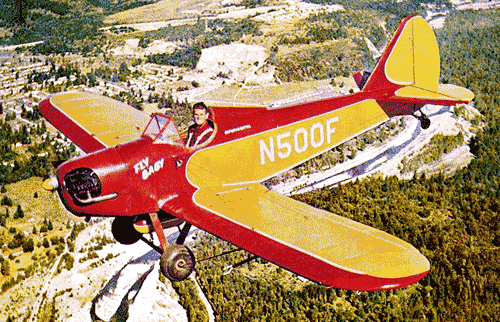 Fly Baby | Aircraft Spruce Australia